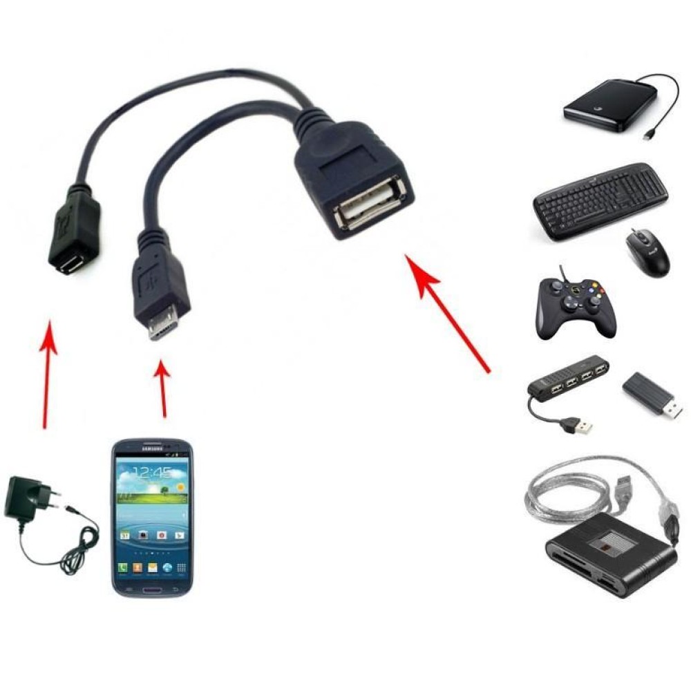 Cavo USB A F 2.0 OTG a Micro USB M / F, 30cm Nero - Cavi USB 2.0 - USB ...